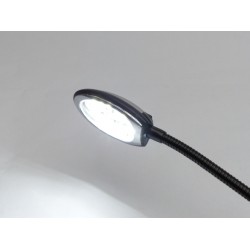 Torches & Map Lights