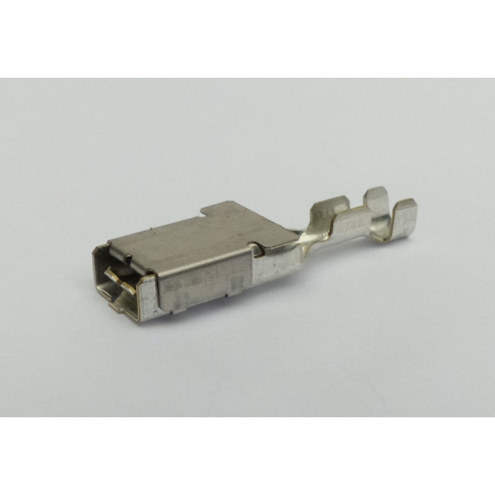 Blade Terminal Fuse at Rose Slaughter blog